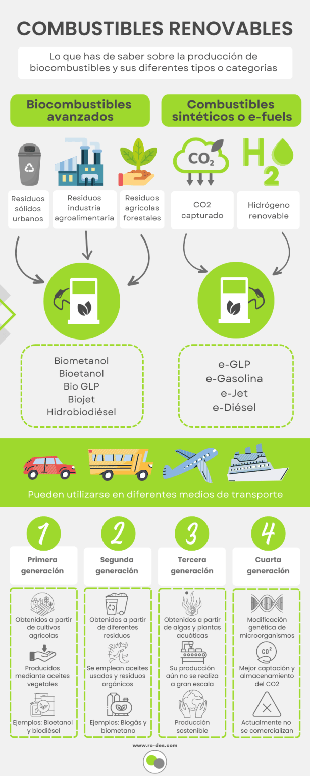 Combustible renovable: Todo sobre el biocombustible y sus tipos